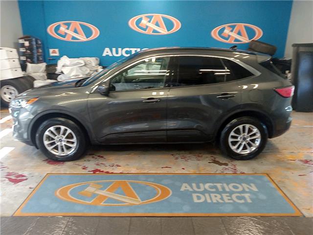 Used Cars, SUVs, Trucks for Sale | Halifax Auction Direct