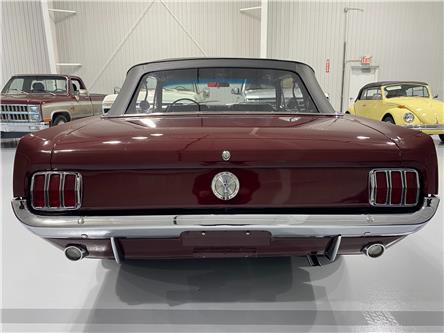 Used Ford for Sale in Watford | Grogan Classics