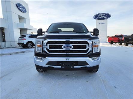 New Cars, SUVs, Trucks for Sale in Shellbrook | Naber Ford Sales