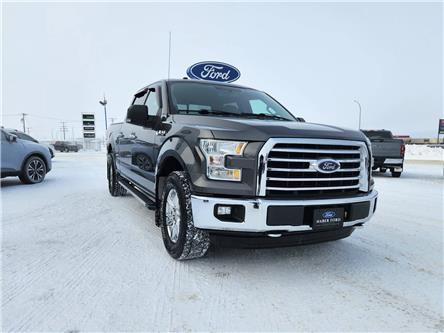 Used Cars, SUVs, Trucks for Sale in Shellbrook | Naber Ford Sales