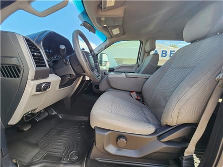 Used Cars, SUVs, Trucks for Sale in Shellbrook | Naber Ford Sales