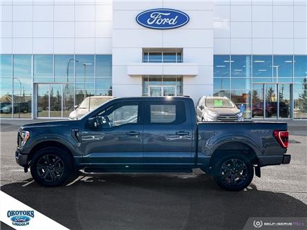 Used Cars, SUVs, Trucks for Sale | Calgary Megalot