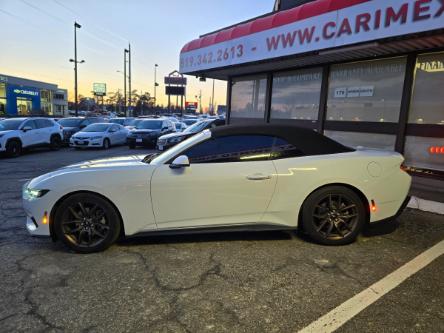 Used Cars, SUVs, Trucks for Sale in Waterloo | Carimex Auto Sales