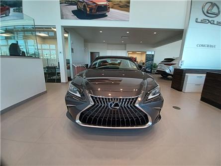 New Cars, SUVs, Trucks for Sale | Taylor Automotive Group