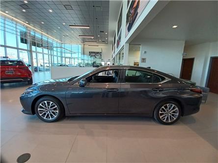 New Cars, SUVs, Trucks for Sale | Taylor Automotive Group