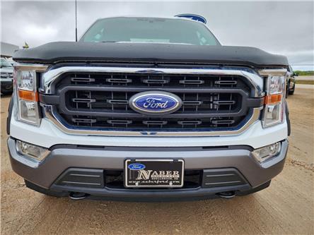 Used Cars, SUVs, Trucks for Sale in Shellbrook | Naber Ford Sales