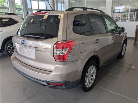 Used Cars, SUVs, Trucks for Sale in Mississauga | Subaru of Mississauga