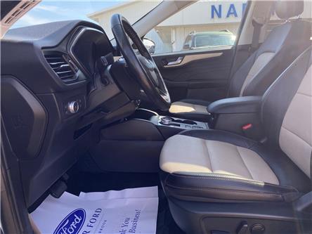 Used Cars, SUVs, Trucks for Sale in Shellbrook | Naber Ford Sales