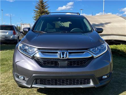 Used Cars, SUVs, Trucks for Sale in Calgary | Lexus of Calgary