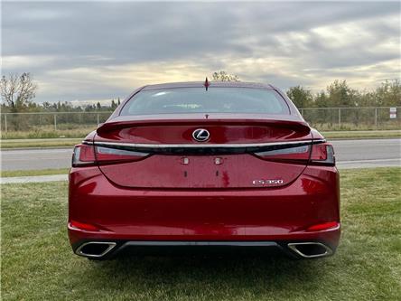 New Cars Calgary - Explore Our Latest Lexus Inventory