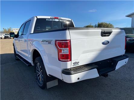 Used Cars, SUVs, Trucks for Sale in Shellbrook | Naber Ford Sales