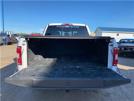 Used Cars, SUVs, Trucks for Sale in Shellbrook | Naber Ford Sales