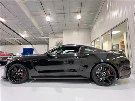 Used Ford for Sale in Watford | Grogan Classics