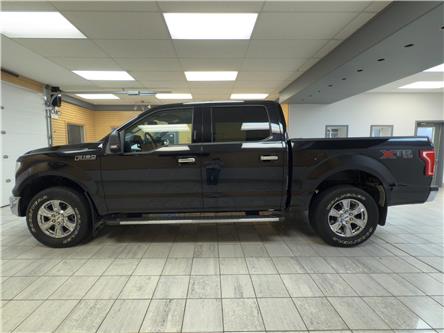 Used Cars, SUVs, Trucks for Sale in Shellbrook | Naber Ford Sales