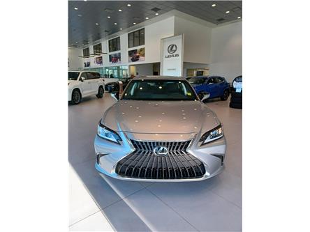 New Cars, SUVs, Trucks for Sale | Taylor Automotive Group