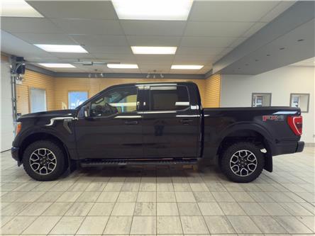 Used Cars, SUVs, Trucks for Sale in Shellbrook | Naber Ford Sales