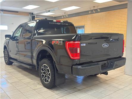 Used Cars, SUVs, Trucks for Sale in Shellbrook | Naber Ford Sales