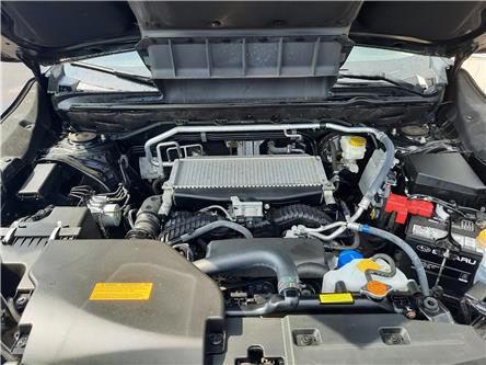 Used Cars, SUVs, Trucks for Sale in Thunder Bay | Marostica Subaru