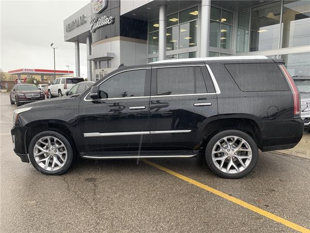 Used Cars, SUVs, Trucks for Sale in Newmarket | NewRoads Chevrolet ...