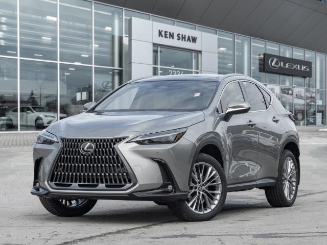 2024 LEXUS NX - Ken Shaw Lexus