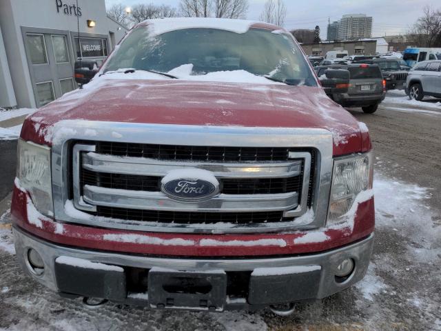 Used Cars, SUVs, Trucks for Sale at NewRoads Automotive Group