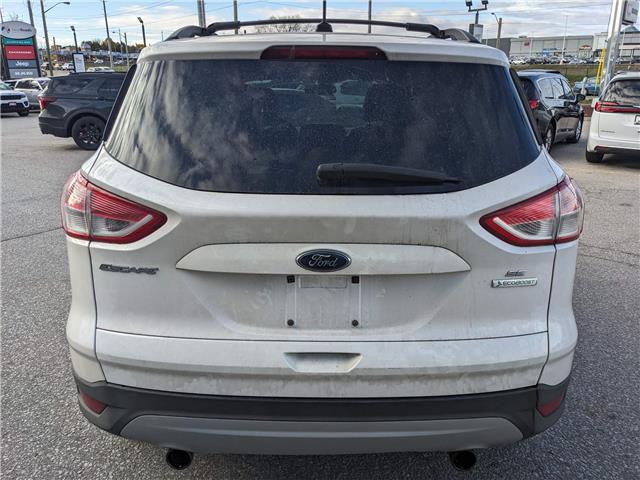 Used Cars, SUVs, Trucks for Sale at NewRoads Automotive Group