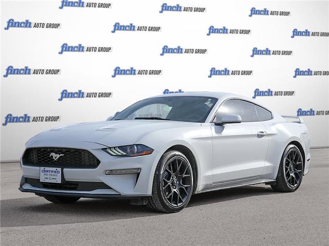 2019 Ford Mustang EcoBoost ONE OWNER, SHARPE AND CLEAN LOOKING CAR at ...
