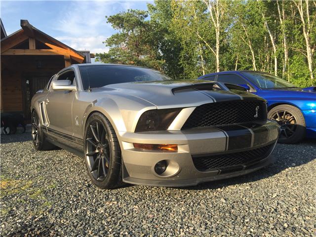 Shelby Gt500 Custom
