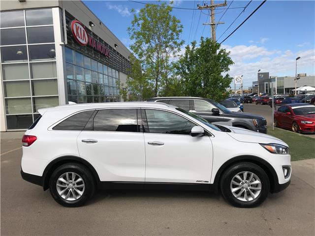 Used Cars, SUVs, Trucks for Sale in Edmonton | Kia West Edmonton