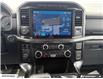 2023 Ford F-150 XLT at $52067 for sale in Thunder Bay - Dominion Motors